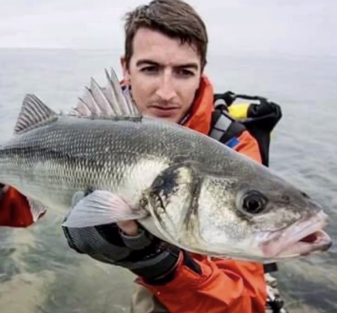 SANDEEL LURES DELTA 2023 ONE EEL PACK NEW MODEL 155mm THE BEST BASS COD ...