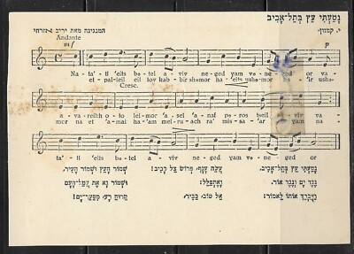 Judaica Palestine Old Postcard Jewish Musical Notes KKL JNF | eBay