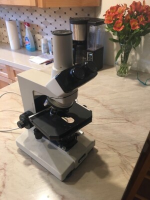 Microscopes - Nikon Labophot Microscope