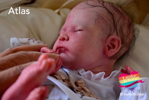 PREEMIE REBORN BABY ATLAS from Rylee by Severine Piret- Ltd Ed with COA ...