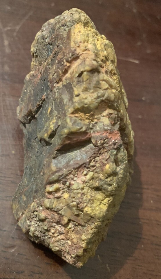 opalized petrified wood Arkansas Fossilized Agate | eBay