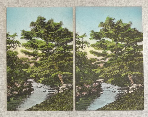 Lot X 2 POCONO MANOR PA LEANING PINE TREE SWIFTWATER STREAM Handcolored ...