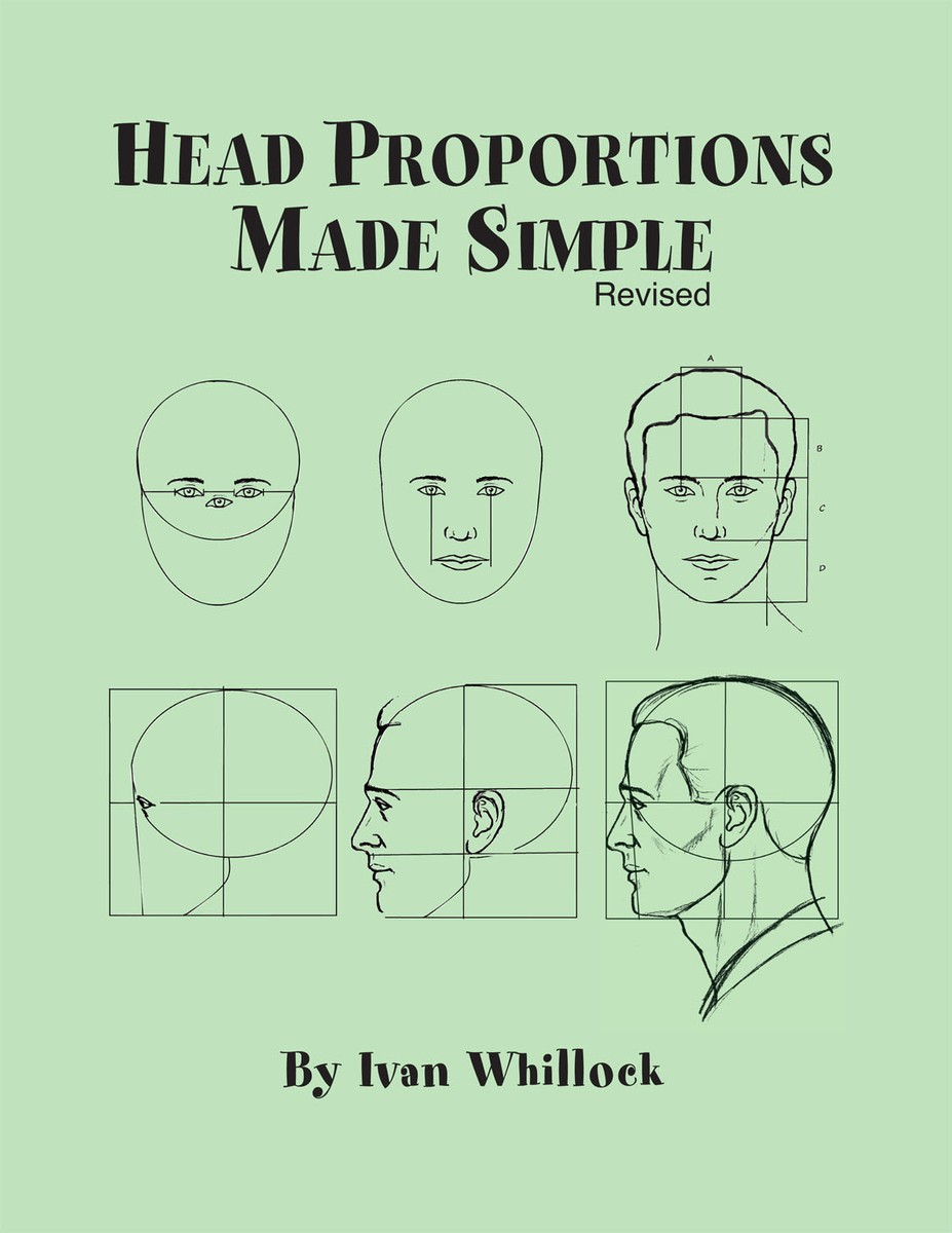 Face Proportions Drawing