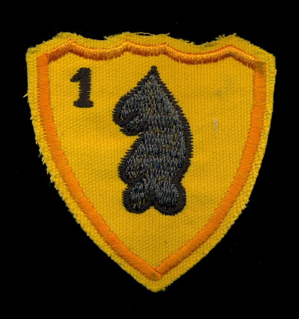 ARVN 1st Reconnaissance BN Vietnam Insignia Patch S-10 | eBay