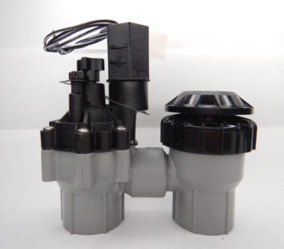 Rain Bird DASASVF075 3/4" Flow Control Anti-Siphon Valve Female to ...