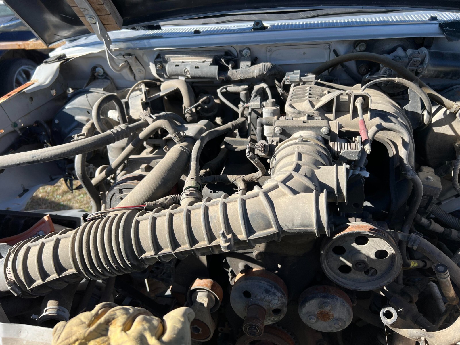 2004 Ford Ranger Engine | OE