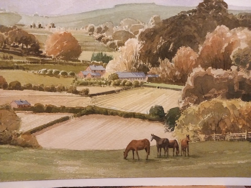 Beautiful Watercolour Horses In A Paddock by The Published Artist Gerry ...