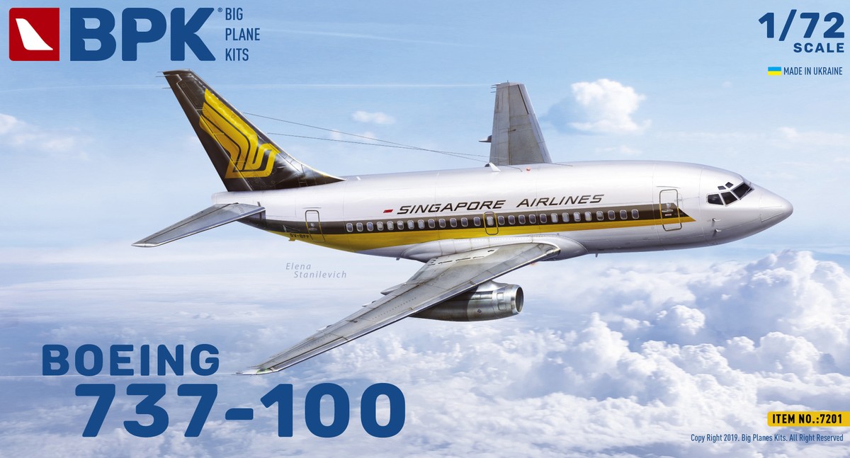 Be 100 Aircraft