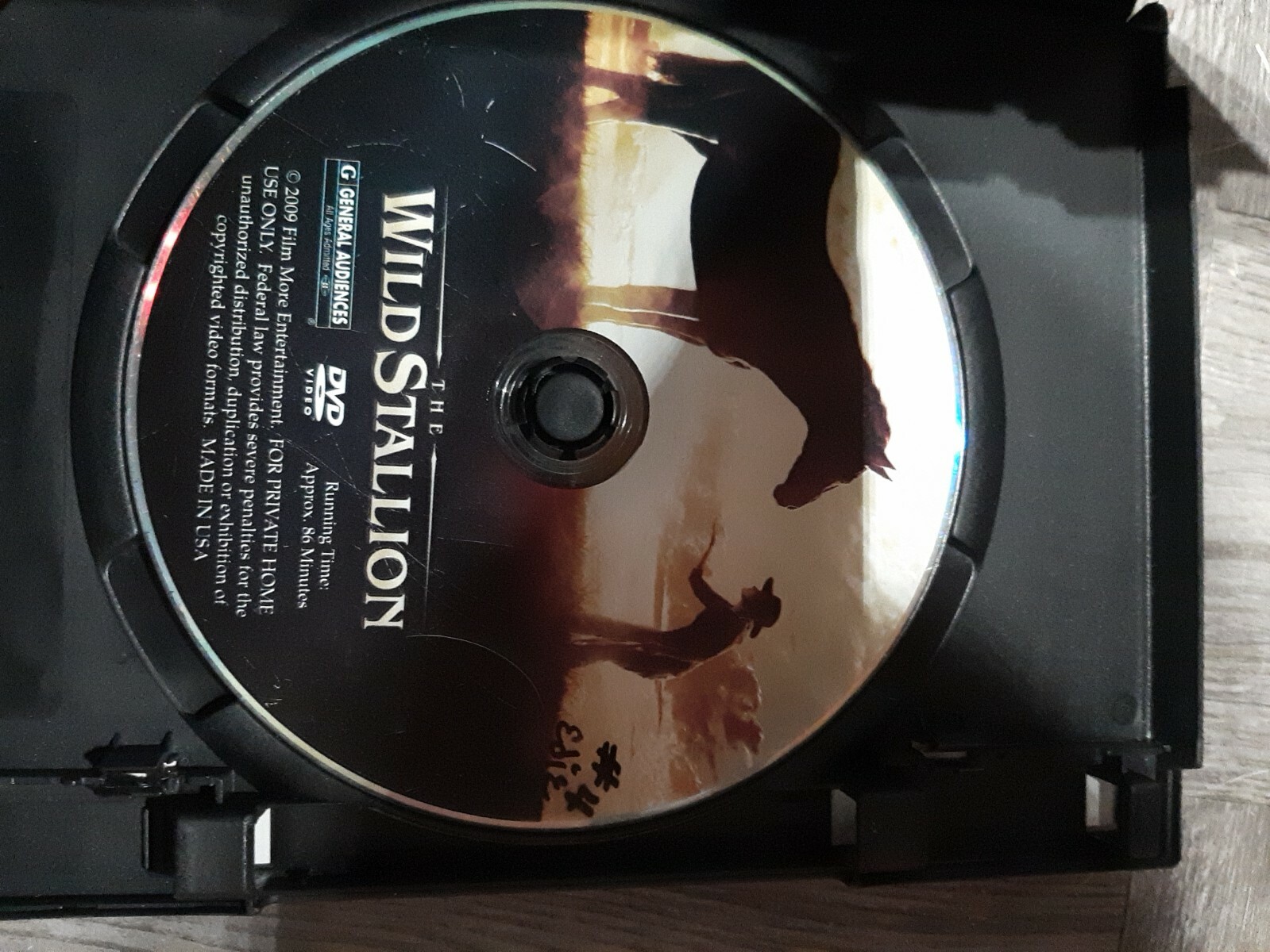 The Wild Stallion (DVD, 2009) 880959002481| eBay