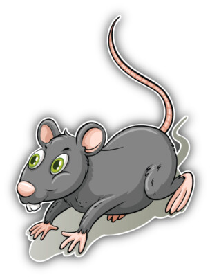 Happy Rat Car Bumper Sticker Decal - ''SIZES'' | eBay