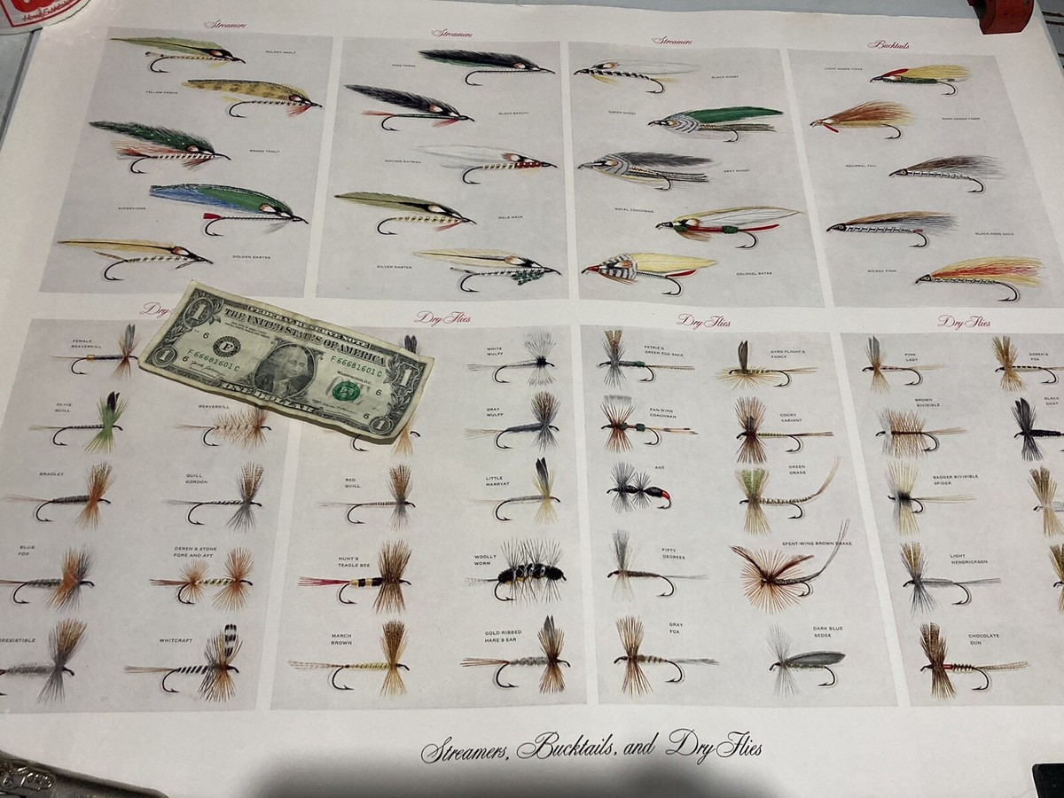 Fly Fishing Flies Identification