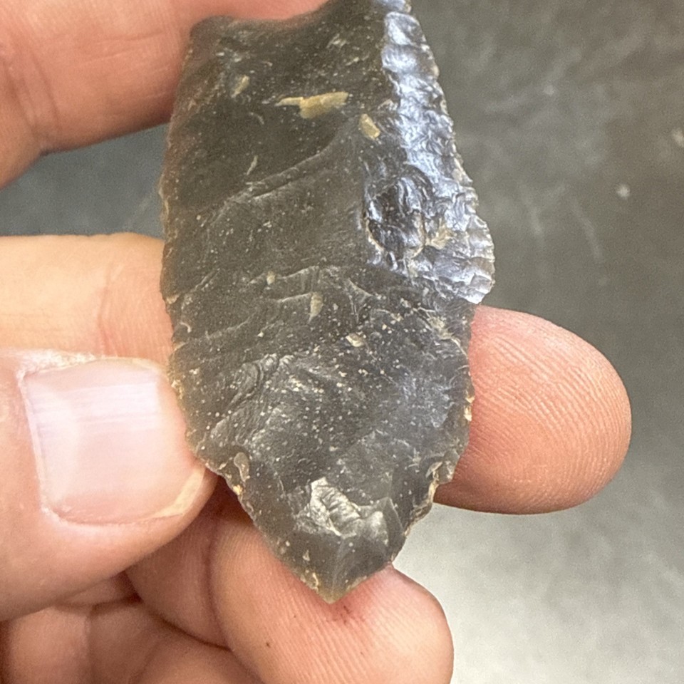 Native American Indian Arrowhead Fluted Clovis Kentucky 2.7/8” Rechip ...