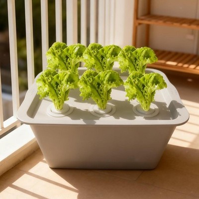 Hydroponic System Growing Box Hydroponics Growing System Grow Box for ...