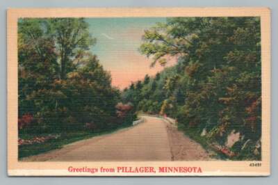 Generic Vintage Linen Postcard PILLAGER Minnesota~Cass County NYCE ...