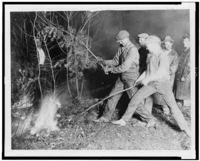 Photo:Two men fighting forest fire with tree branches, 1920's | eBay