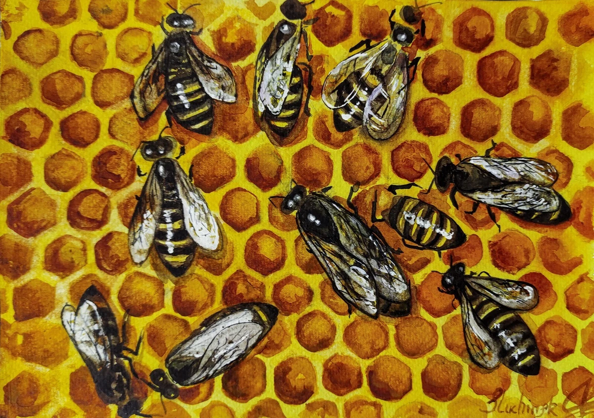 Honeycomb Painting