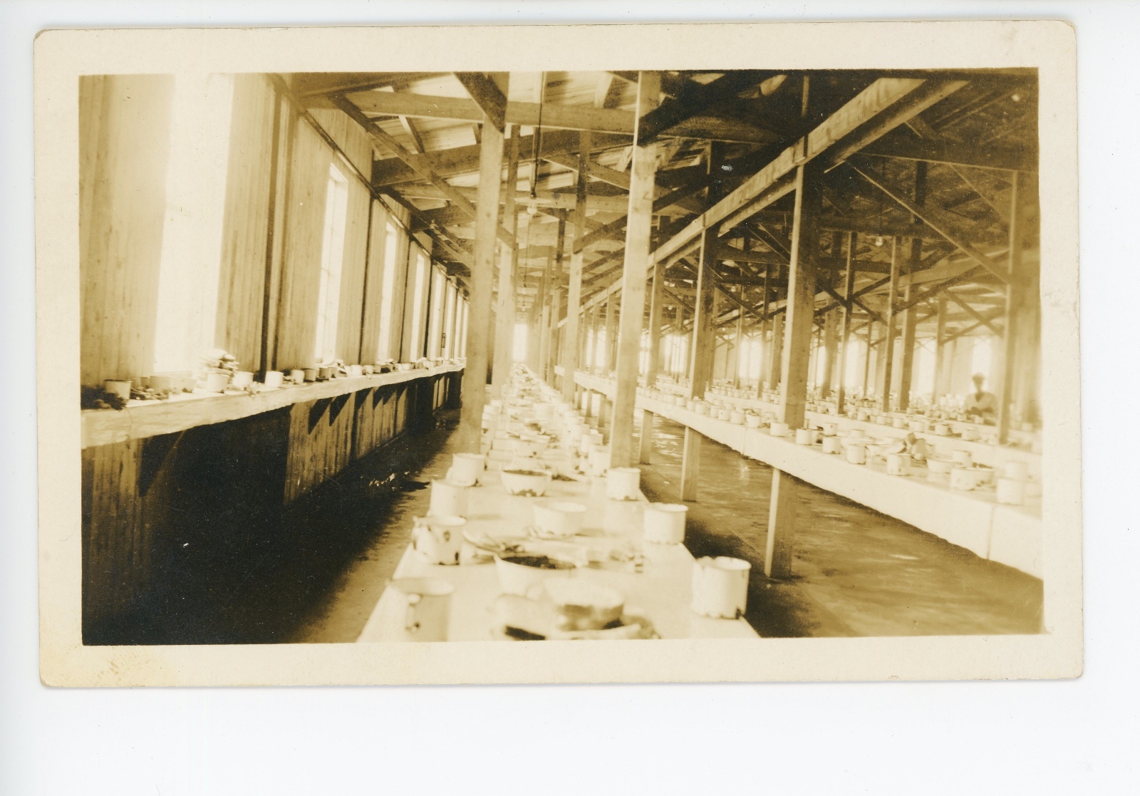 Navy Mess Hall? Interior Military RPPC "The Electric Studio" NEWPORT RI ...