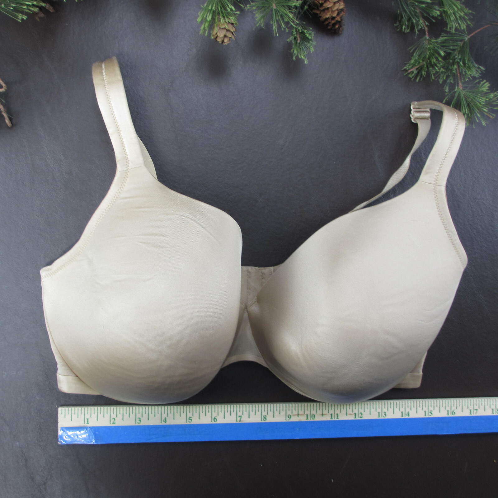 Cacique Bra Size 40F Tan Padded Underwire Adjustable … - Gem