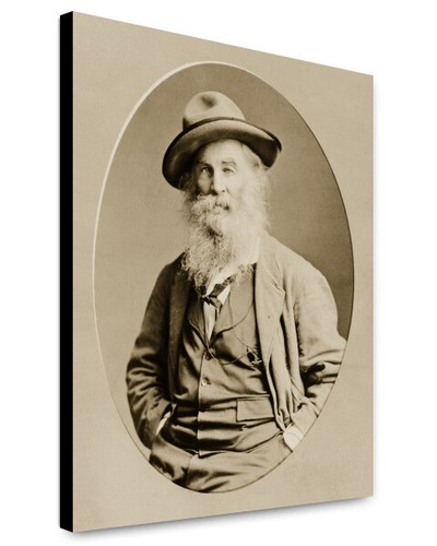 Canvas Print: Walt Whitman Portrait, circa 1880-1892 | eBay