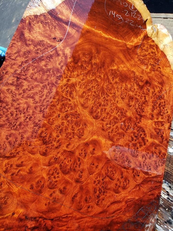 Amboyna burl guitar top wood or bass figured wood for luthier supply | eBay
