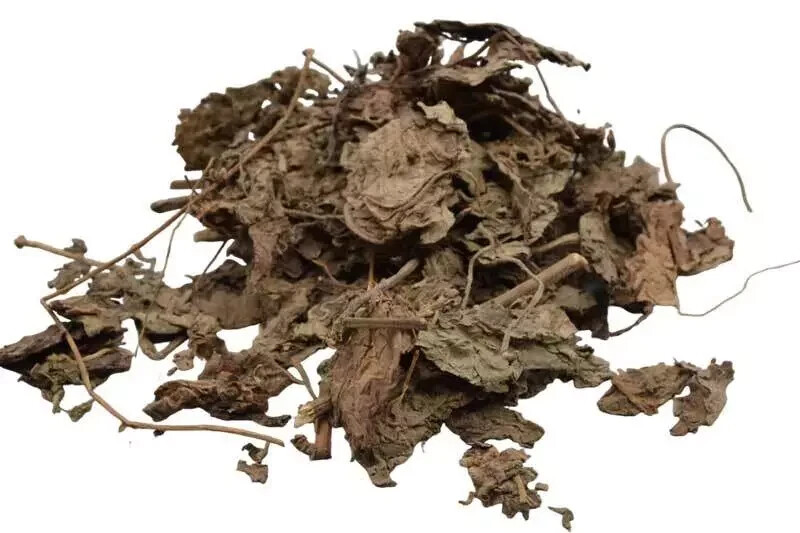 Dried Patchouli Leaves 1 oz (Pogostemon Cablin) for Herbal Health Oils ...
