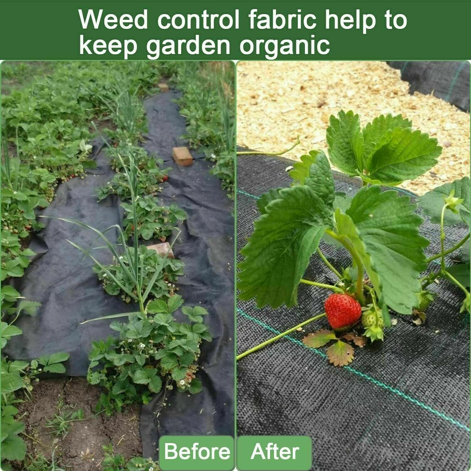 Weed Control Fabric Membrane Garden Landscape Guard Cover Sheet Protect ...