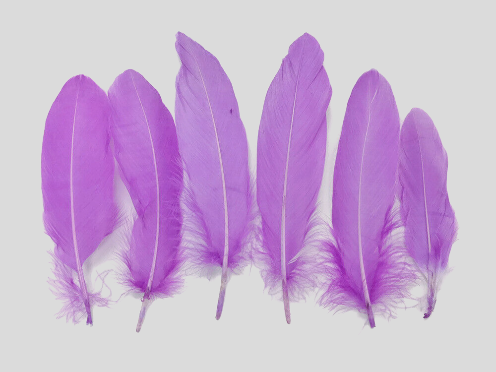 Light Purple Goose Feathers 6-8" 12 Pc Wedding Millinery Crafts ...