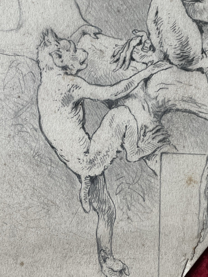 18thC Pencil Drawing upon card Natural History Monkeys Finely detailed ...