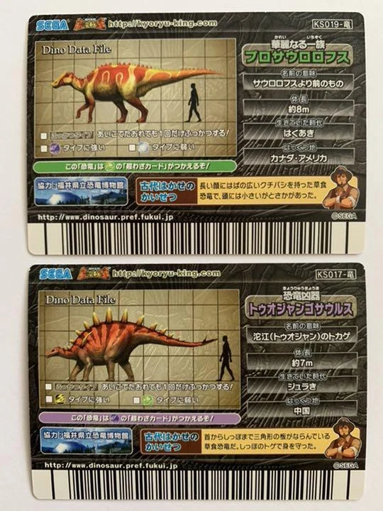 Dinosaur King Pachyrhinosaurus Card