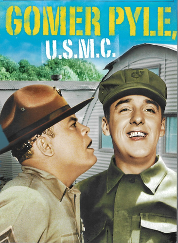 GOMER PYLE U. S. M. C. SEASON ONE (dvd) **** disc 3 only **** | eBay