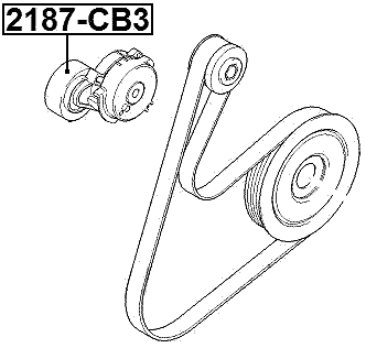 Tension Pulley Fits Nissan 11955-3TA9D, 119554BA0A, 1310771, 1318336 ...