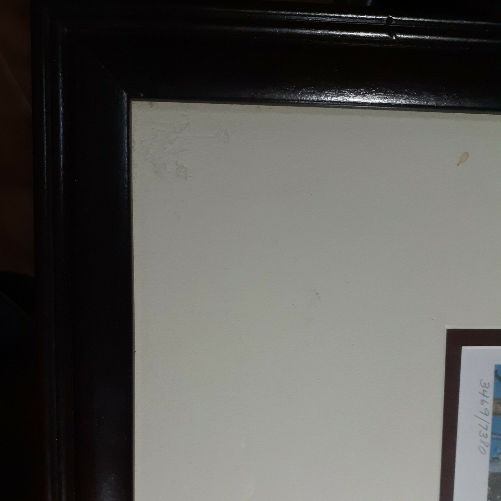 Ned Smith Signed LE Dark Wood Framed Waterfowl Management Print/Stamp ...