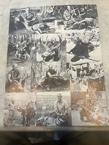 Vintage Archery 505 | eBay Stores