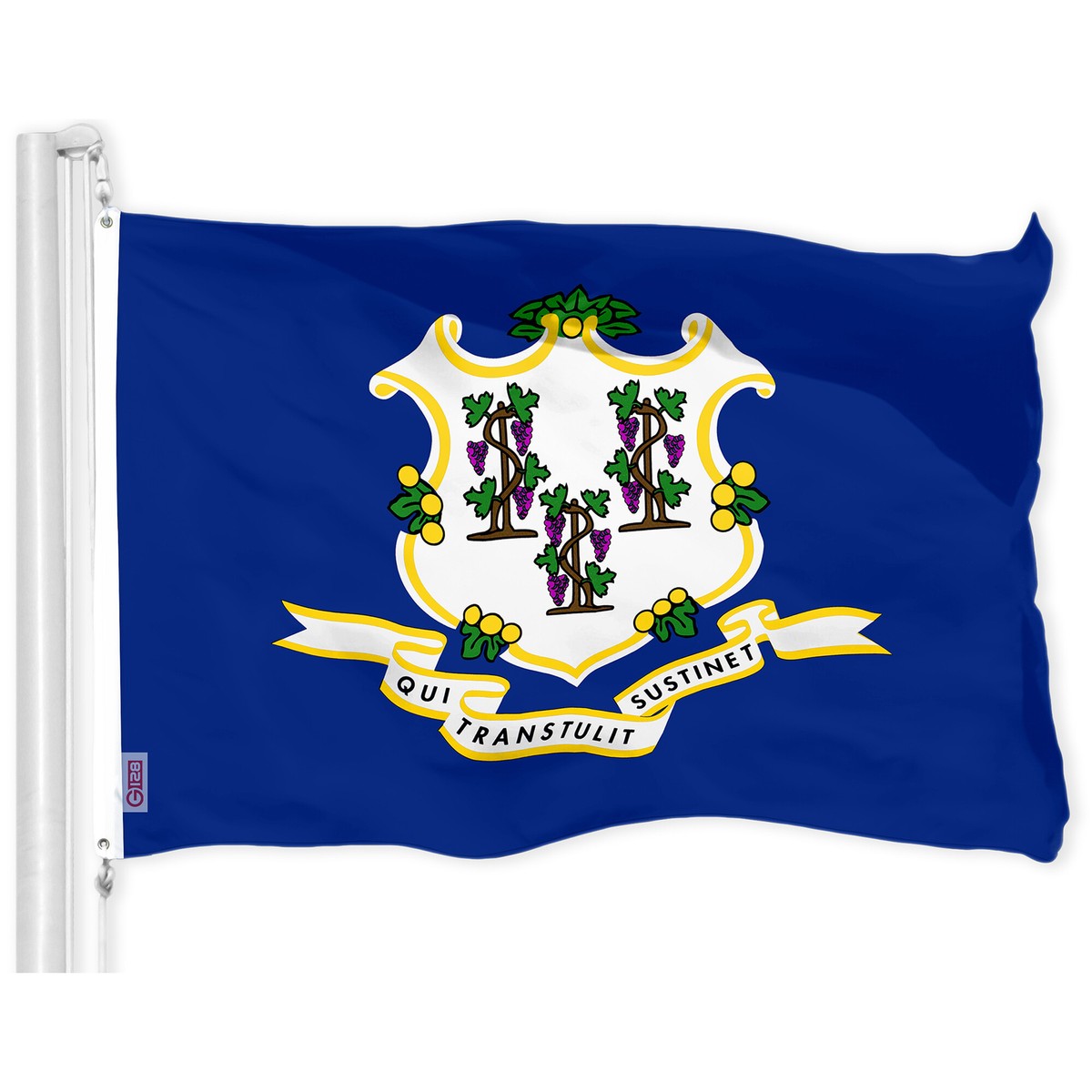 Connecticut State Symbols The National Flag Of The US State