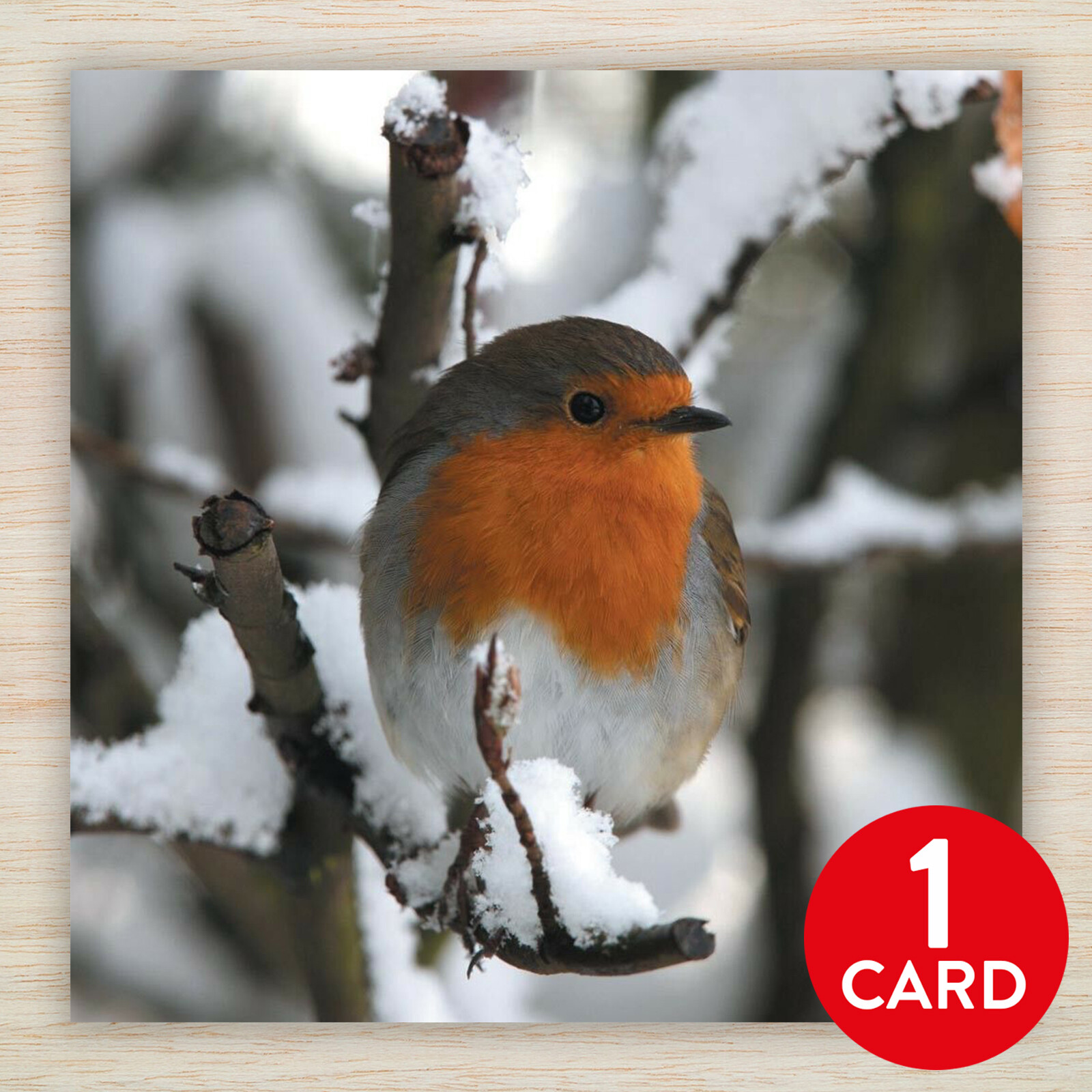 Robin Christmas Cards & Packs Nature Wildlife Bird Xmas Cards & Pack ...