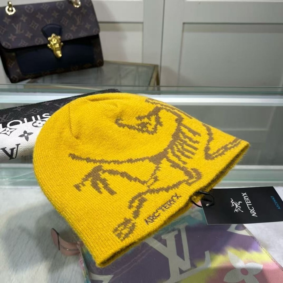 (Free Tax) 100% Wool Arcteryx Bird Head Toque Beanie Hat Knitted Warm ...