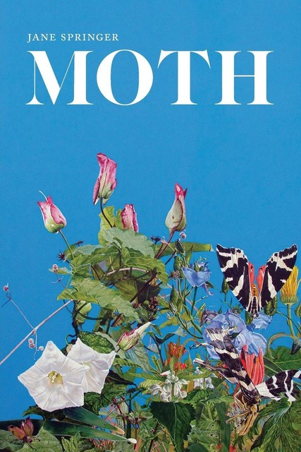 Moth von Jane Springer (2018, Taschenbuch) online kaufen | eBay.de