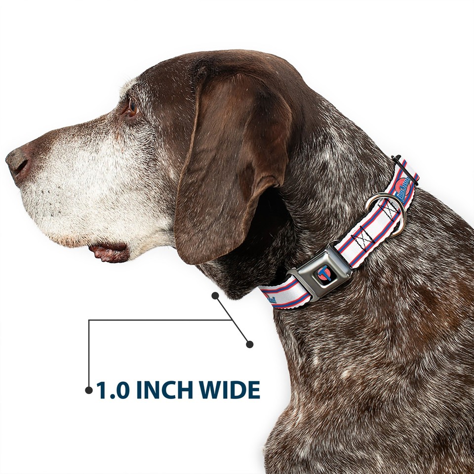 Dog Collar LTAI-Space Jam Tune Squad Icon Full Color Black/Red/Blue (US ...