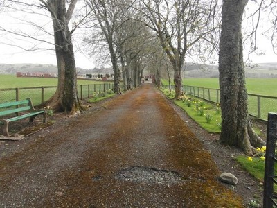 Photo A2 The driveway to Colmonell Cemetery c2013 | eBay