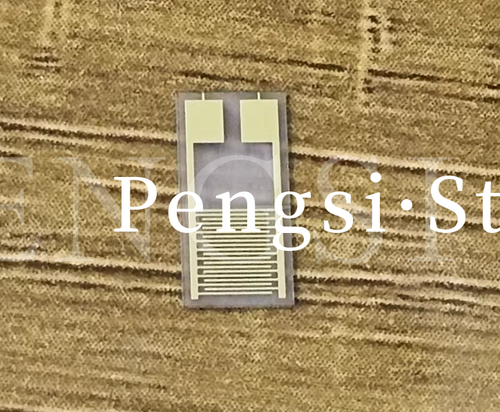 QTY:10 100μm PET Flexible Fork Finger Electrode Sensor Chip 5x10mm | eBay