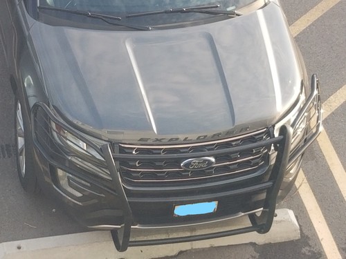 Aries 3068 Grille Guard Fits 16-19 Explorer for sale online | eBay