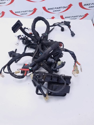 Main Harness Husqvarna Enduro Supermoto 701 20-23 KTM 690 19-23 SMC 19 ...