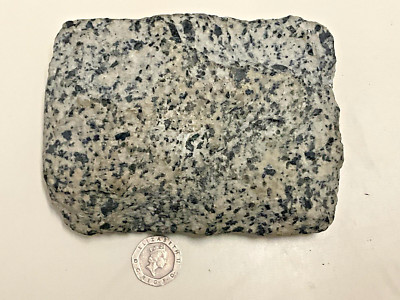 Geological Microscope Slide on request -Quartz Diorite, Tyrol, Austria ...