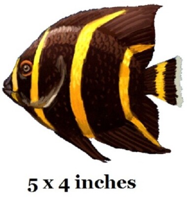 French Angelfish Wall Decal Tropical Angel Fish Vinyl Sticker Peel and ...