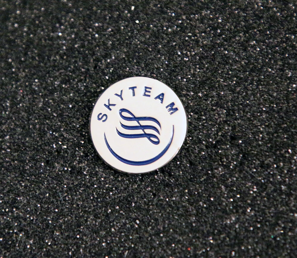 Skyteam Logo