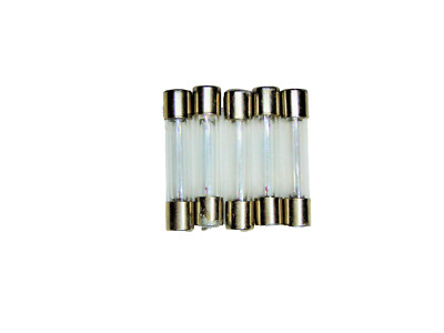 Fuse Type Lamp 8V 250mA 5 pcs | eBay