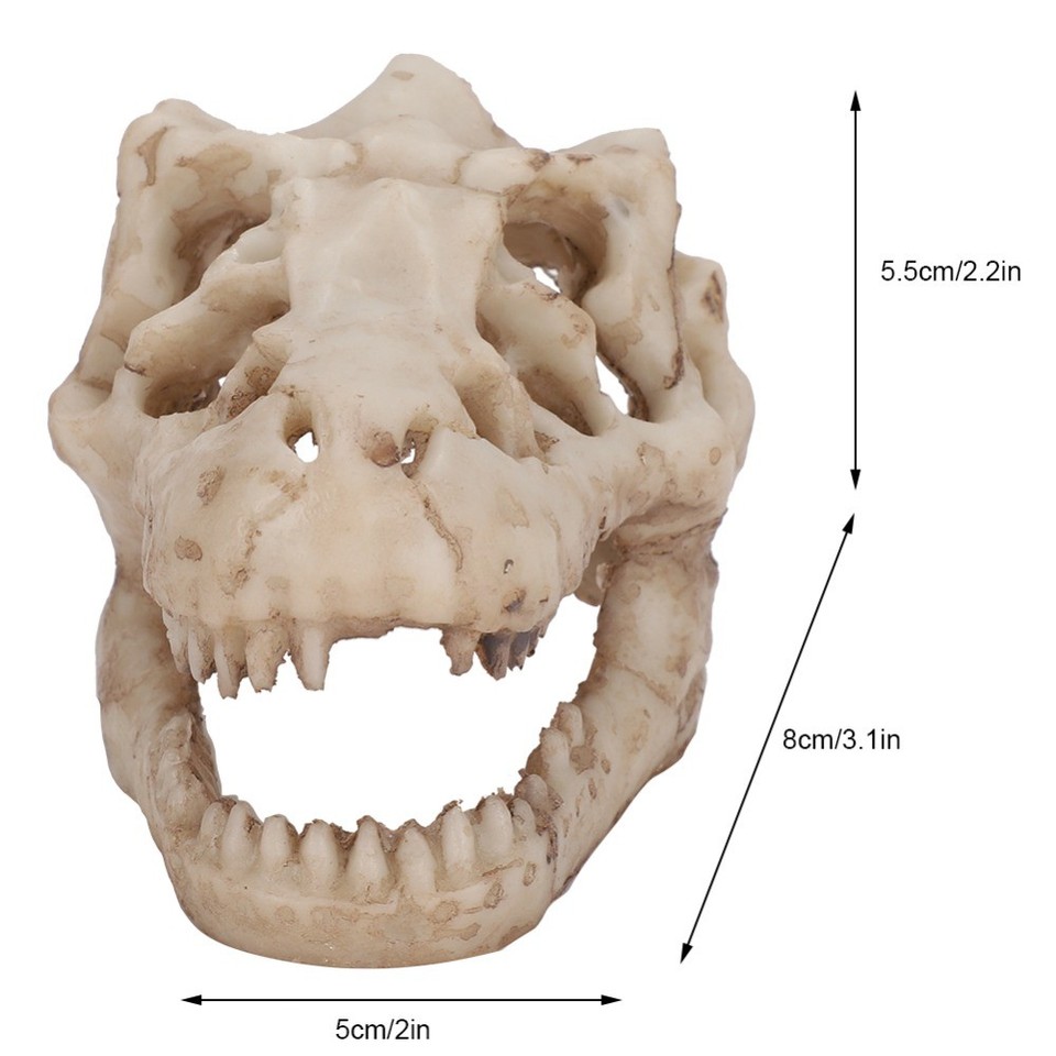 Skull Shape Aquarium Decor Landscape Design Dinosaur Skull Ornament ...