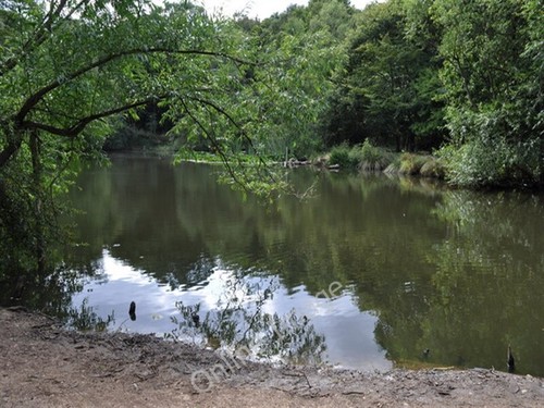 Photo 6x4 The Lake. Epping Although the lake is now only used for ...