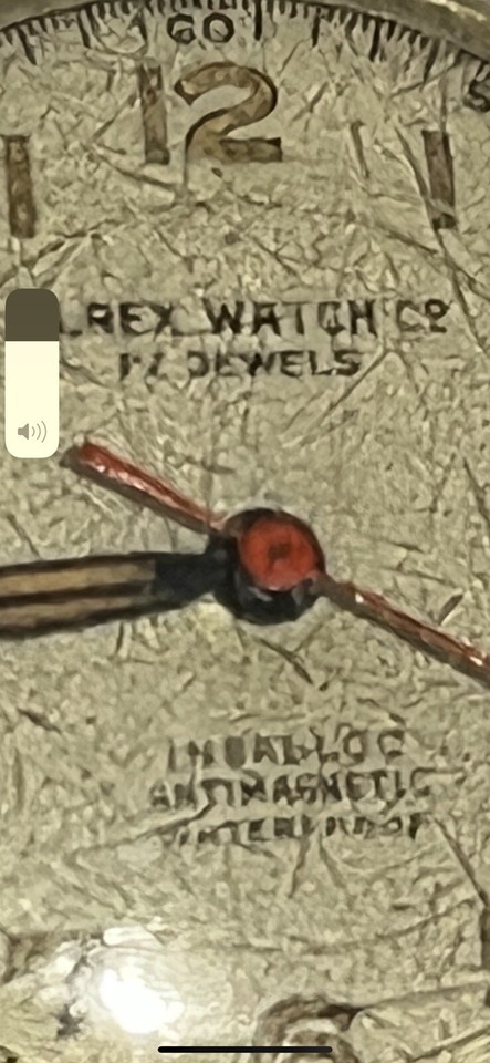 Elrex Watch Co Vintage Anti Magnetic & Shockproof Watch | eBay