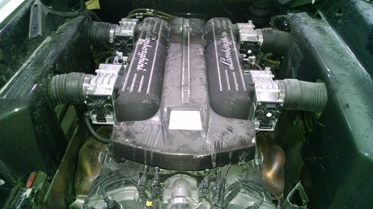 Lamborghini Murcielago Engine